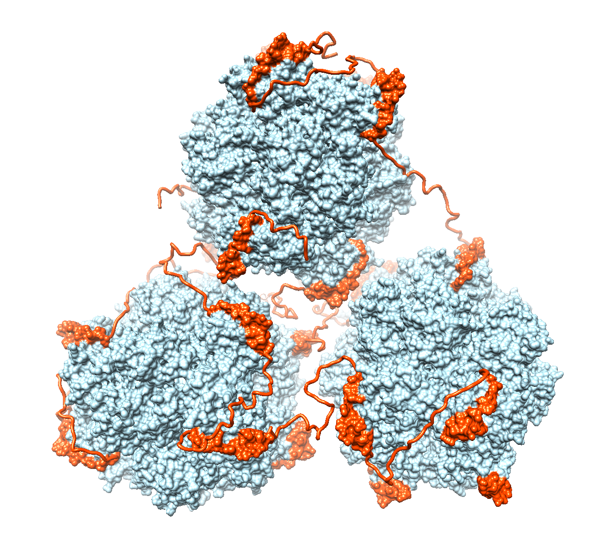 MBS Seminar - "Structure and regulation of the CO2-concentrating organelle, the pyrenoid ...
